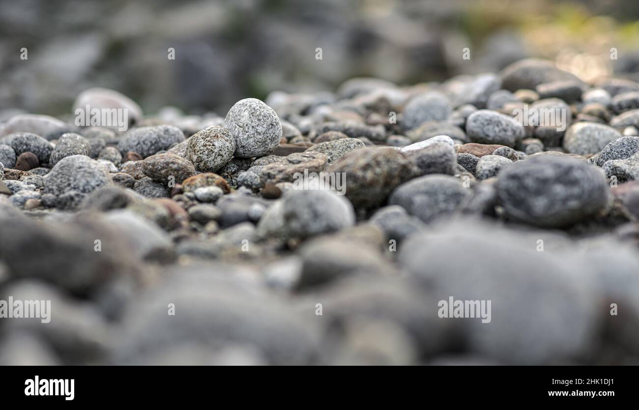 Small round rocks on a river beach Low angle shallow depth of field ...