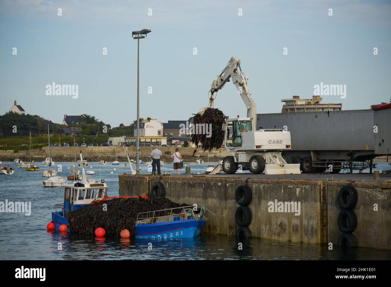 SEPTEMBER 2021 - ROSCOFF - FRANCE : unloading of algae at the port of ...