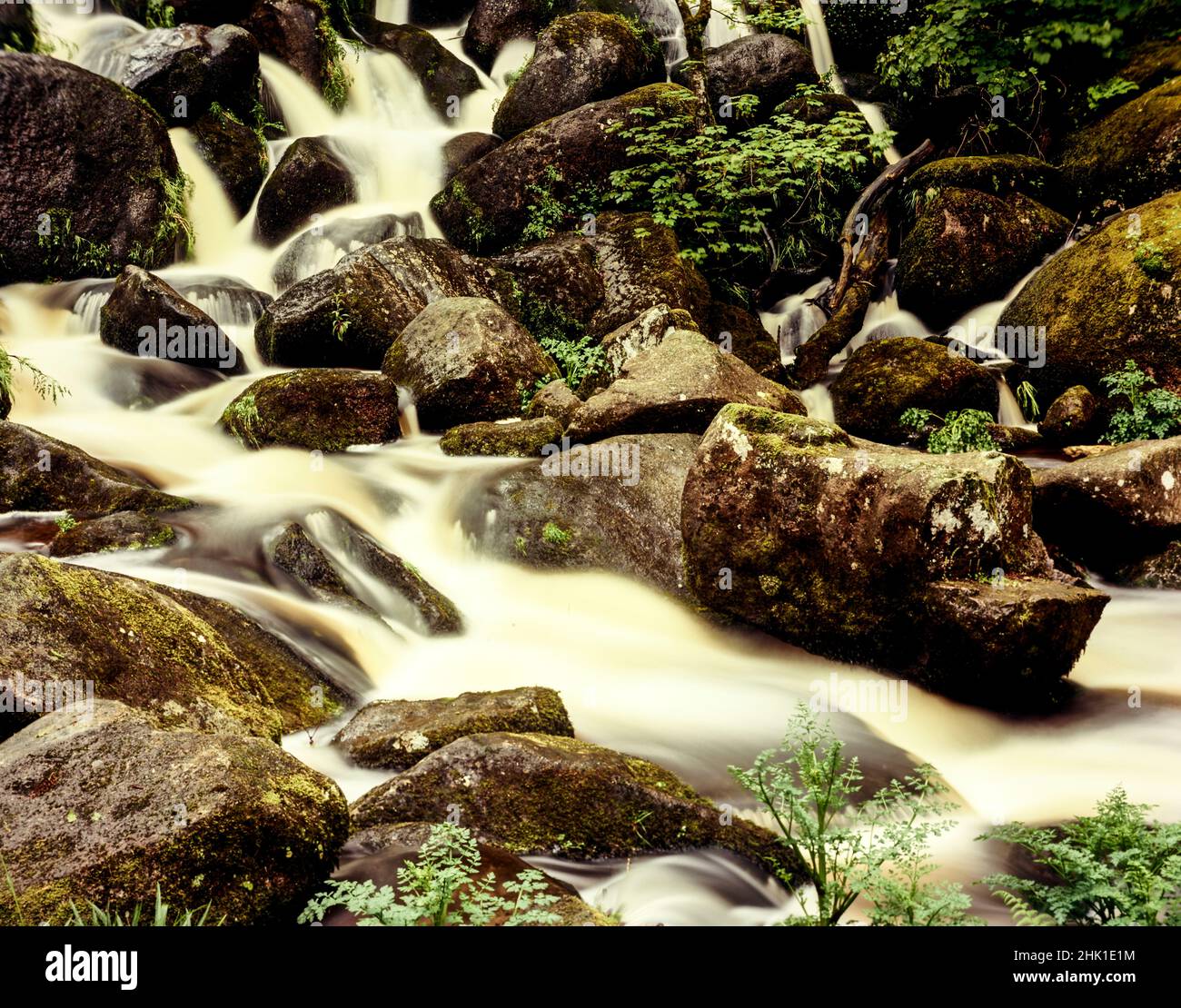 Superb Becky Falls, Water rushing through ancient woodland, natural ...