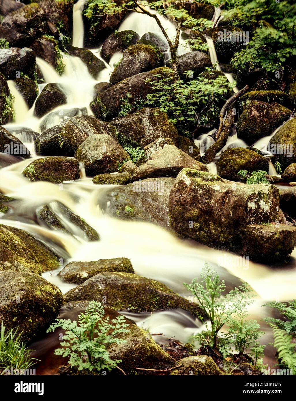 Superb Becky Falls, Water rushing through ancient woodland, natural ...