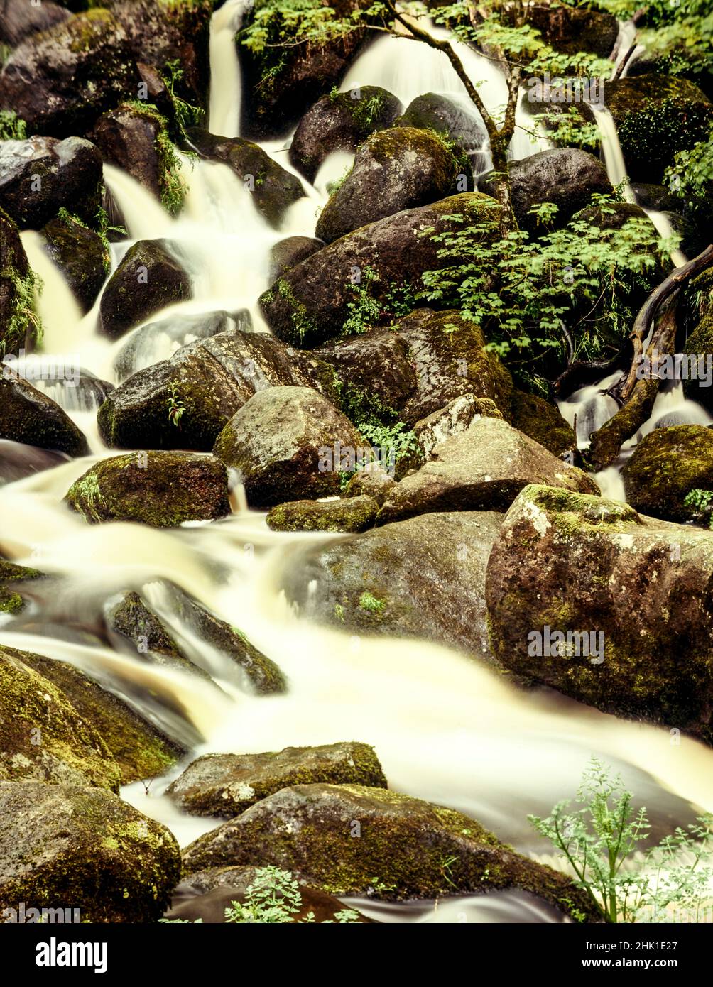 Superb Becky Falls, Water rushing through ancient woodland, natural ...