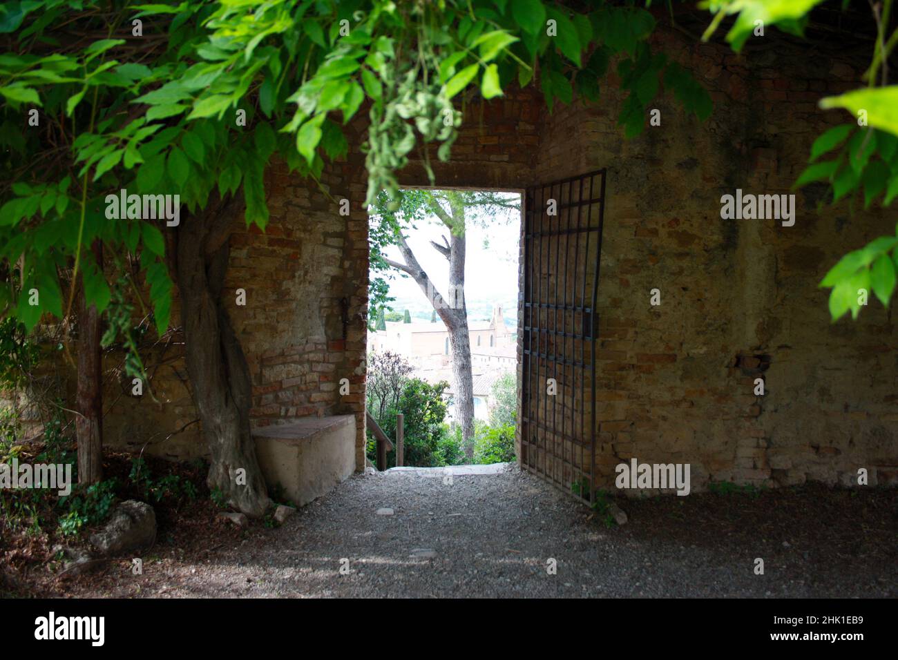 medieval secret passages hidden between walls and nature in tuscany ...