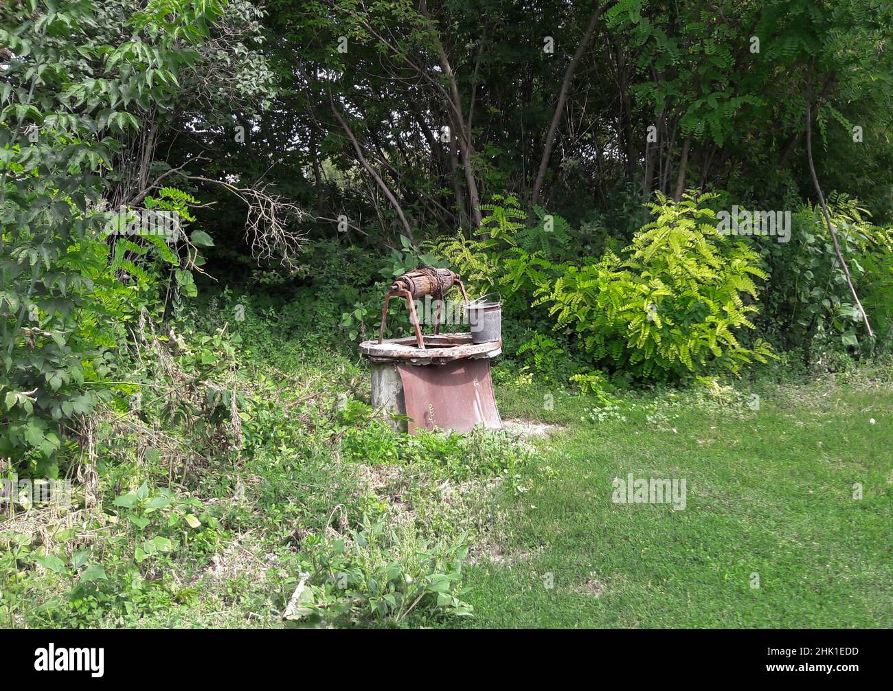 In the forest there is an old abandoned well with a bucket for water ...