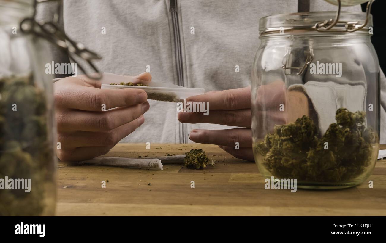 Man rolling marijuana cannabis joint in coffee shop Amsterdam with CBD ...