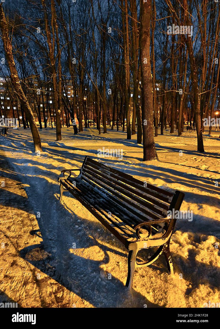 In the winter evening park there is an empty bench on the snow Stock ...