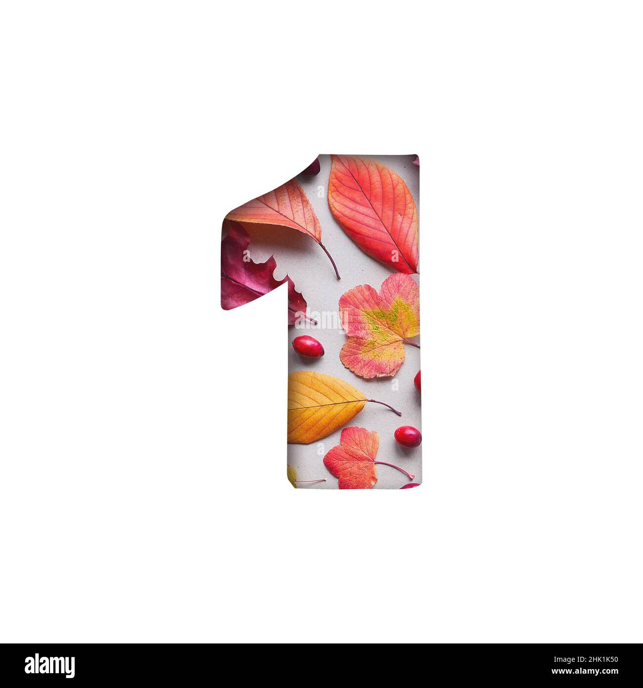 Number one shape cut out of white paper. Red and orange Autumn leaves ...