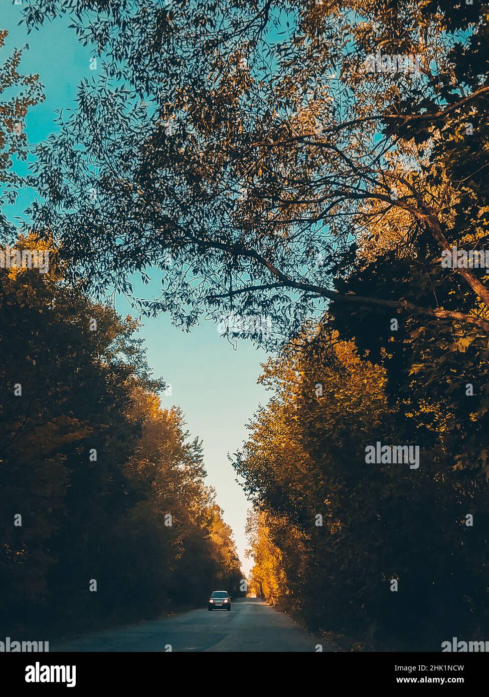 Lonely car on the road among autumn trees Stock Photo - Alamy
