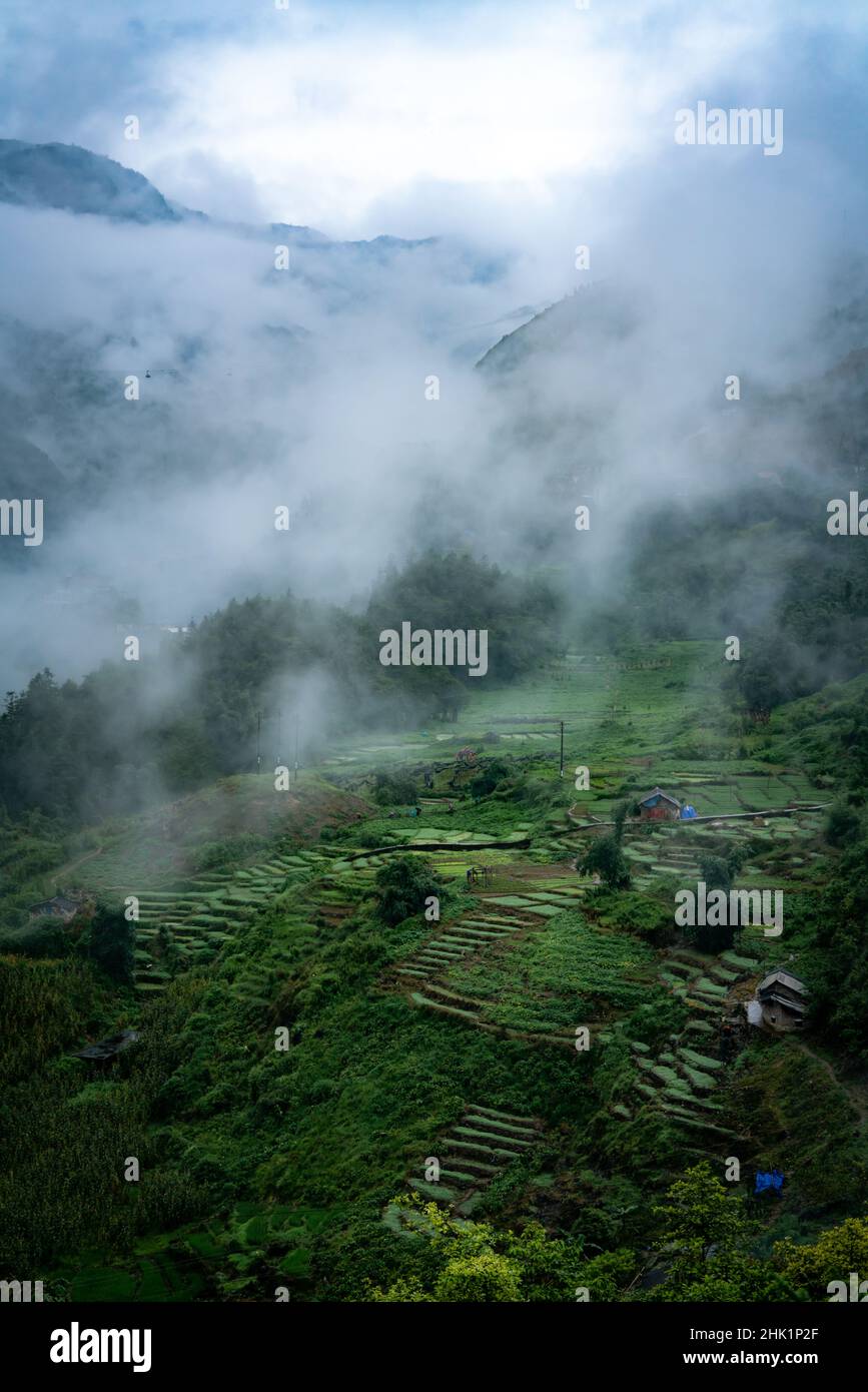 Rice terraces of sapa hi-res stock photography and images - Alamy