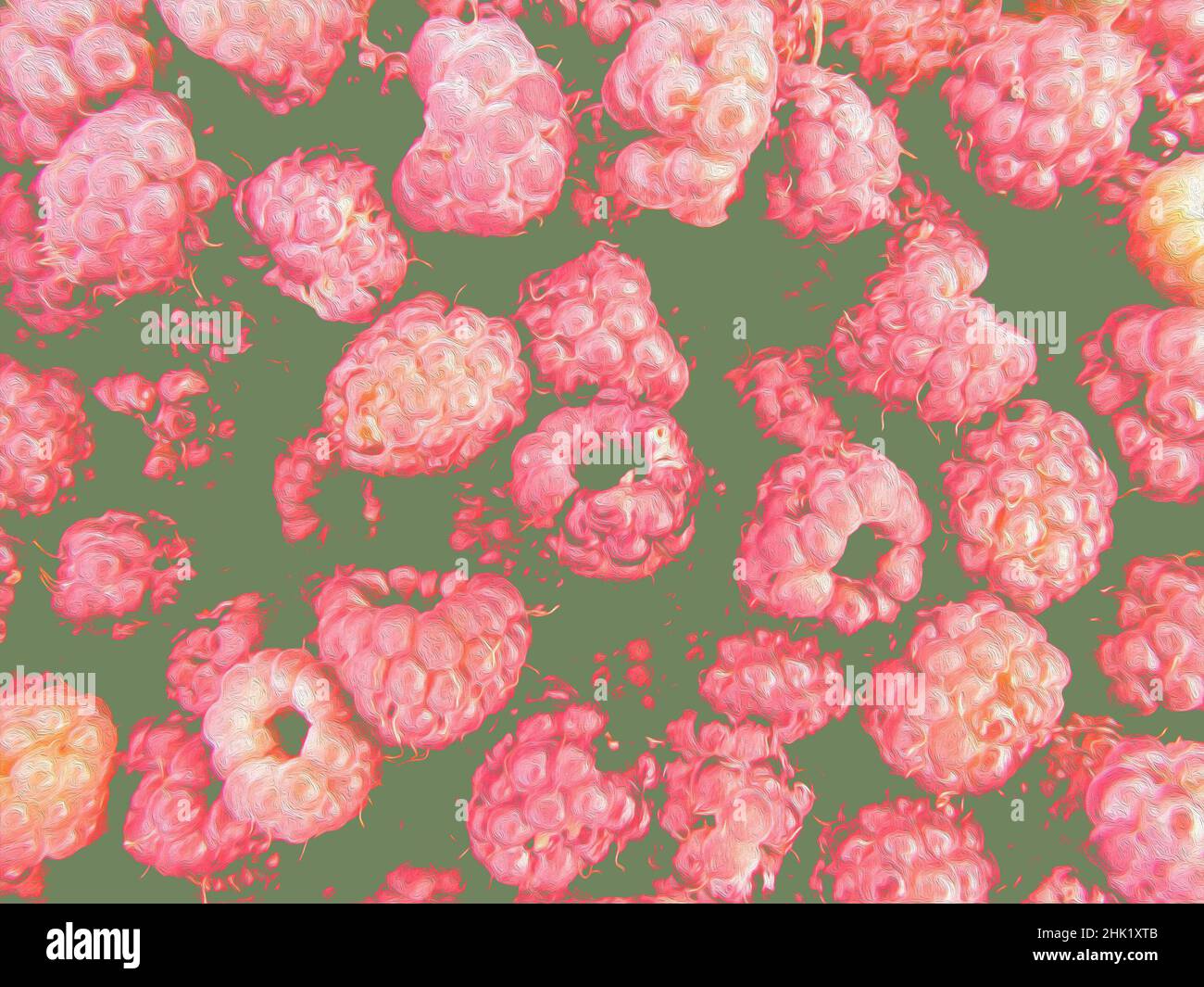 An illustration of the juicy raspberry berries in bright pink hues on a ...