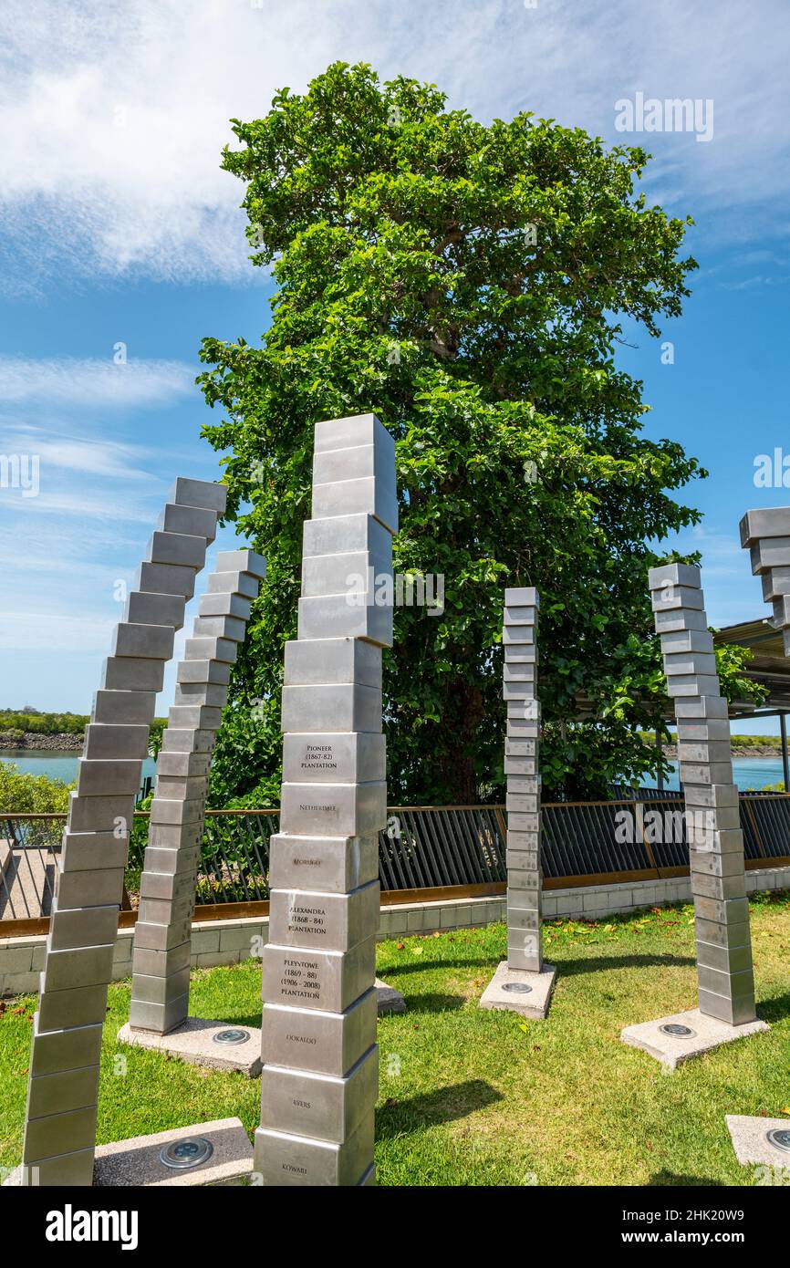 The Leichhardt Tree was used as an anchor for ships by thousands of ...