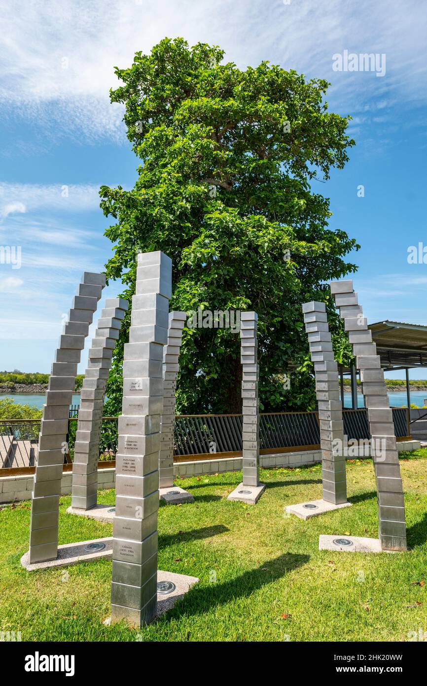 The Leichhardt Tree was used as an anchor for ships by thousands of ...