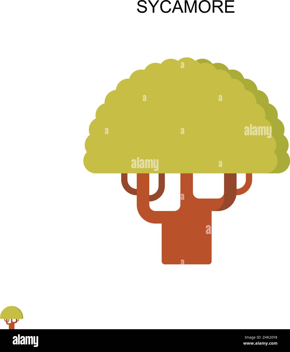 Sycamore Tree Leaves Stock Vector Images - Alamy