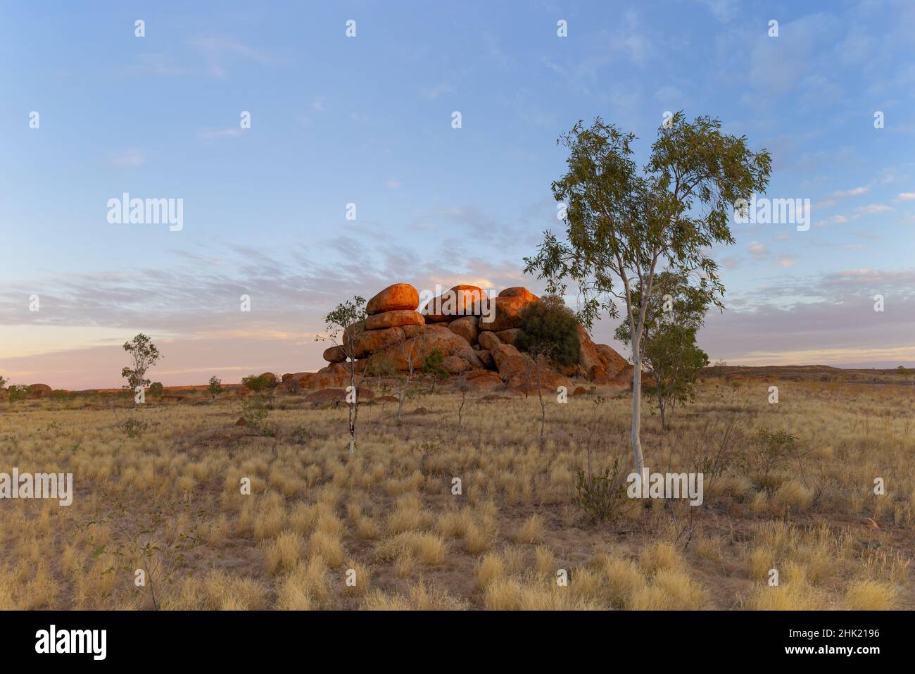 sunset wide shot of the devil's marbles boulders and a gum tree in the ...