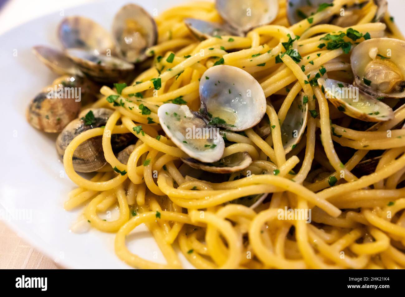 Italian sea food dinner first course pasta with clams alle vongole ...
