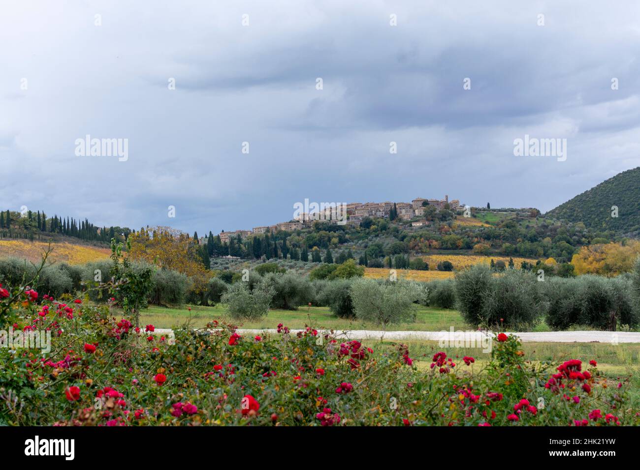 Walking on hills near Abbazia Sant'Antimo, Montalcino, Tuscany, Italy ...