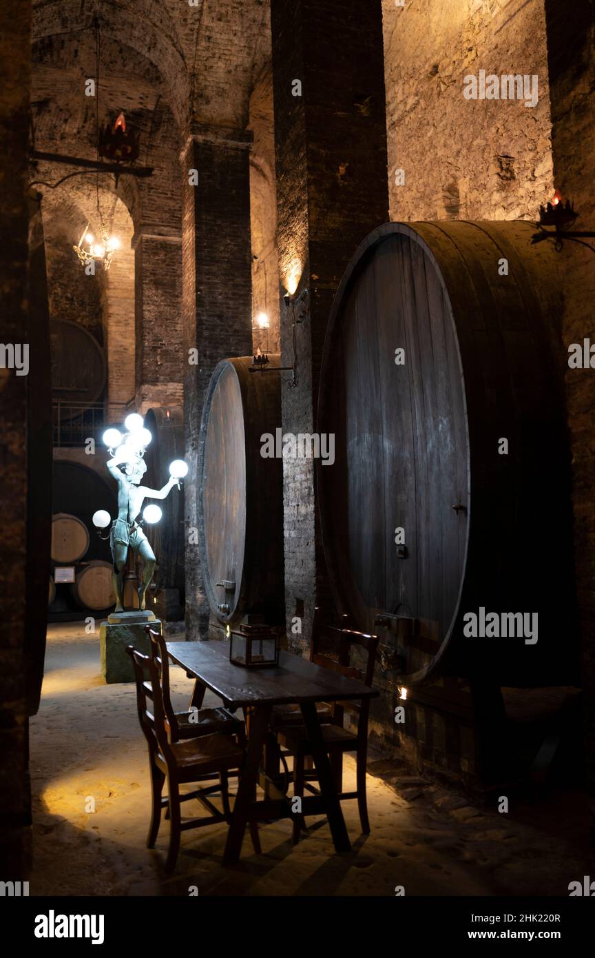 Medieval underground wine cellars with old red wine barrels for aging ...
