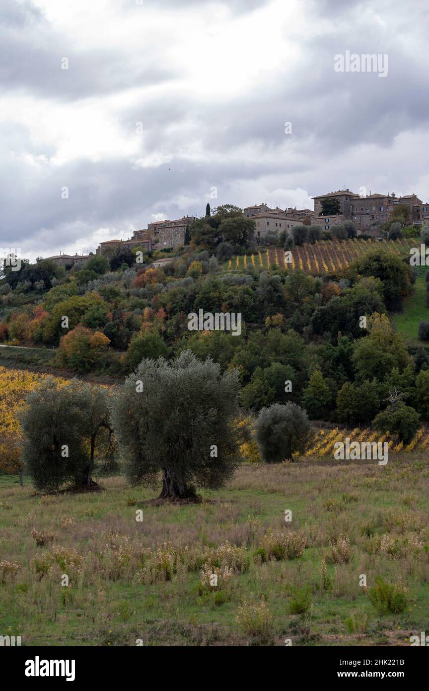 Walking on hills near Abbazia Sant'Antimo, Montalcino, Tuscany, Italy ...