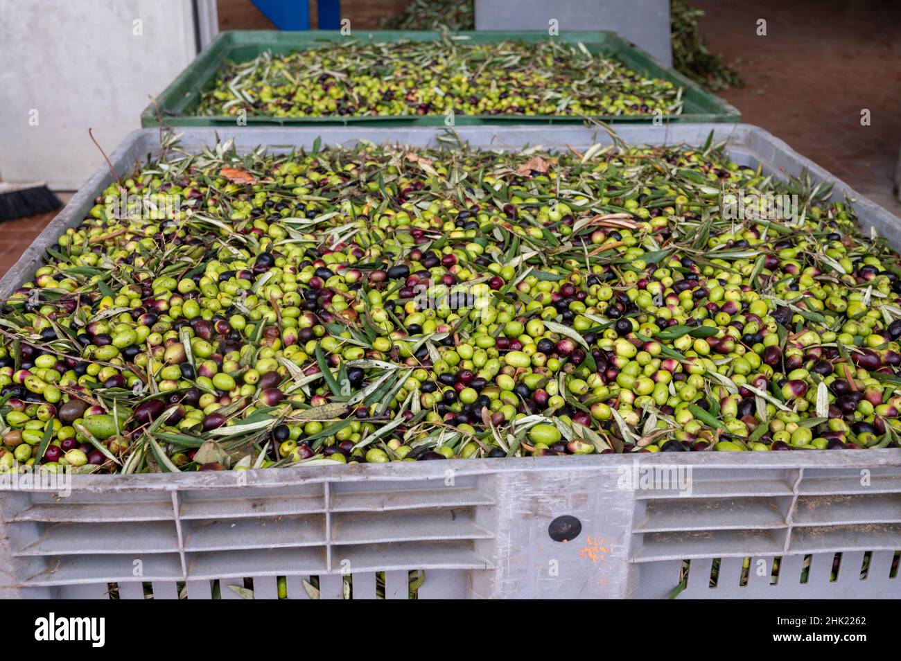 Olive oil mill tuscany hi-res stock photography and images - Alamy