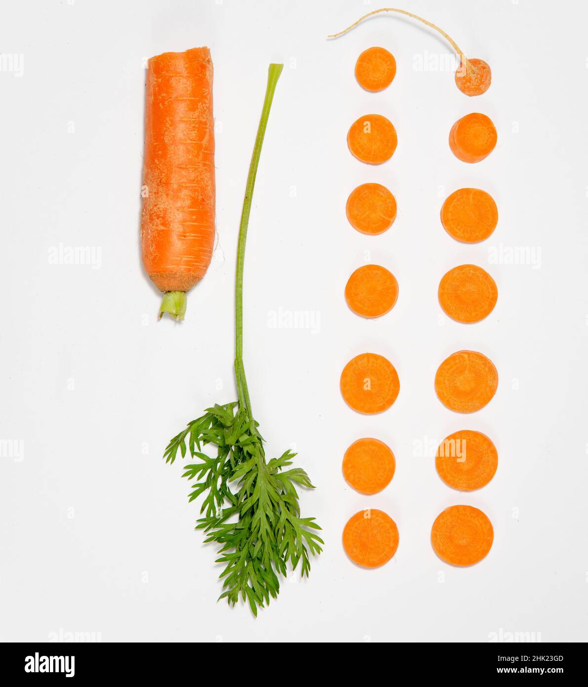 Flat lay view of a fresh carrot with circular slices on a white ...