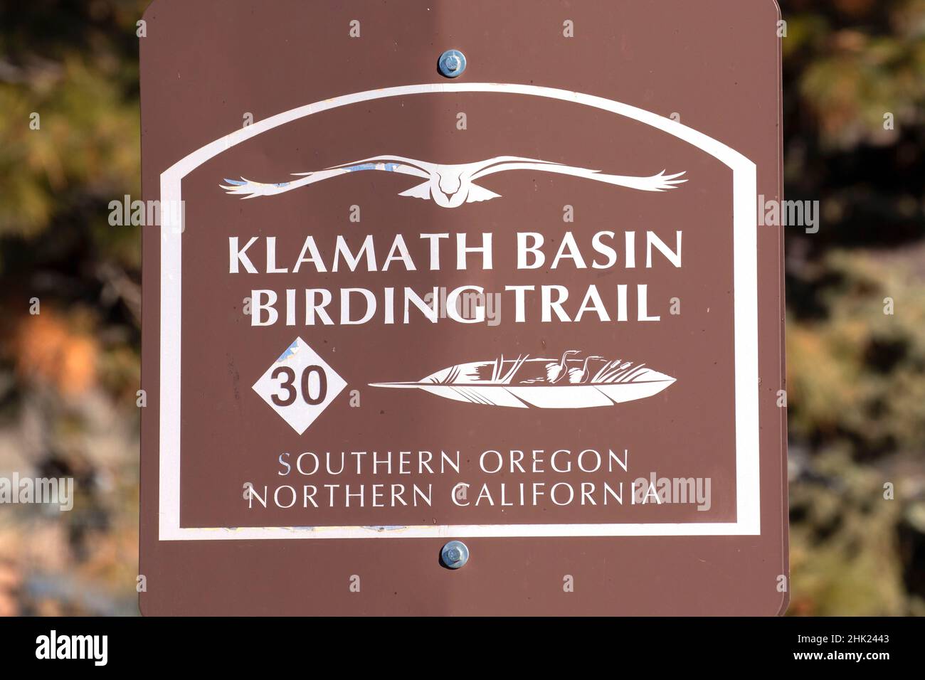 Birding tourism hi-res stock photography and images - Alamy