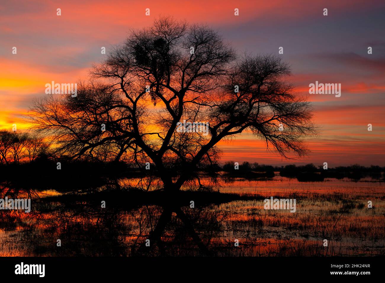 Sunset and wetland hi-res stock photography and images - Alamy