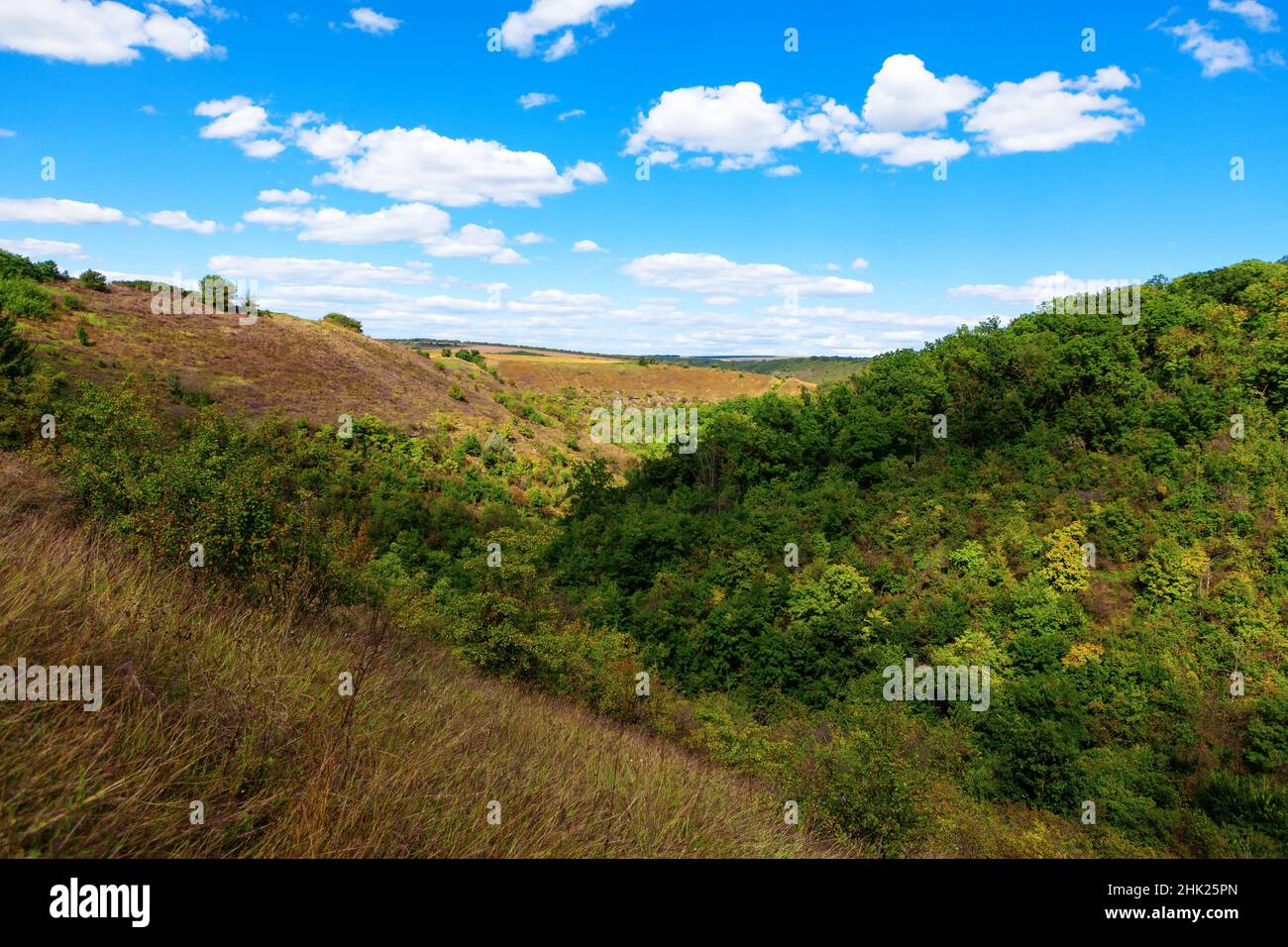 Green hills range . Forest growing on the hill Stock Photo - Alamy