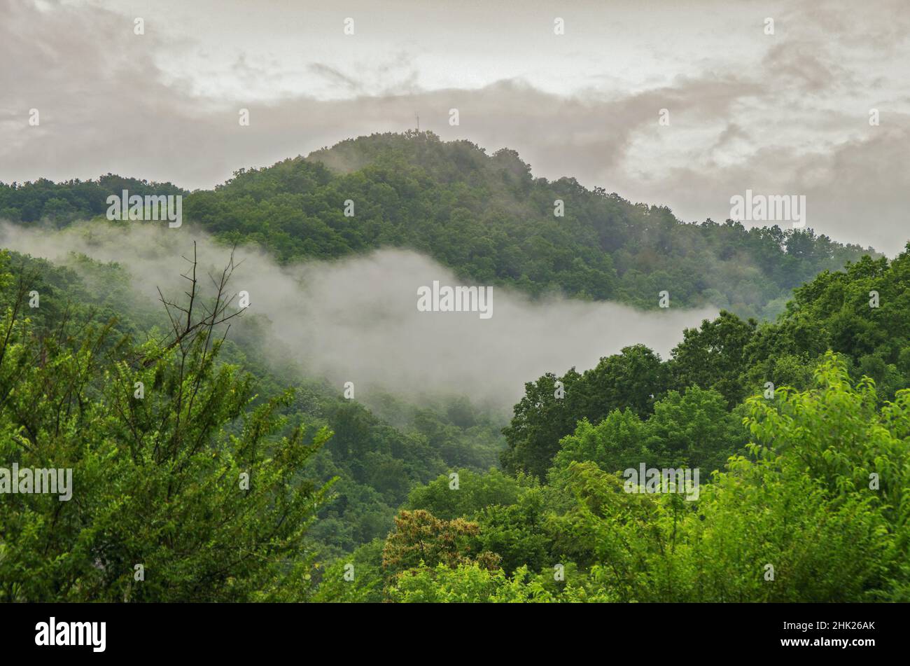 Beautiful shot of fog rising off a mountain in Southwestern Virginia ...