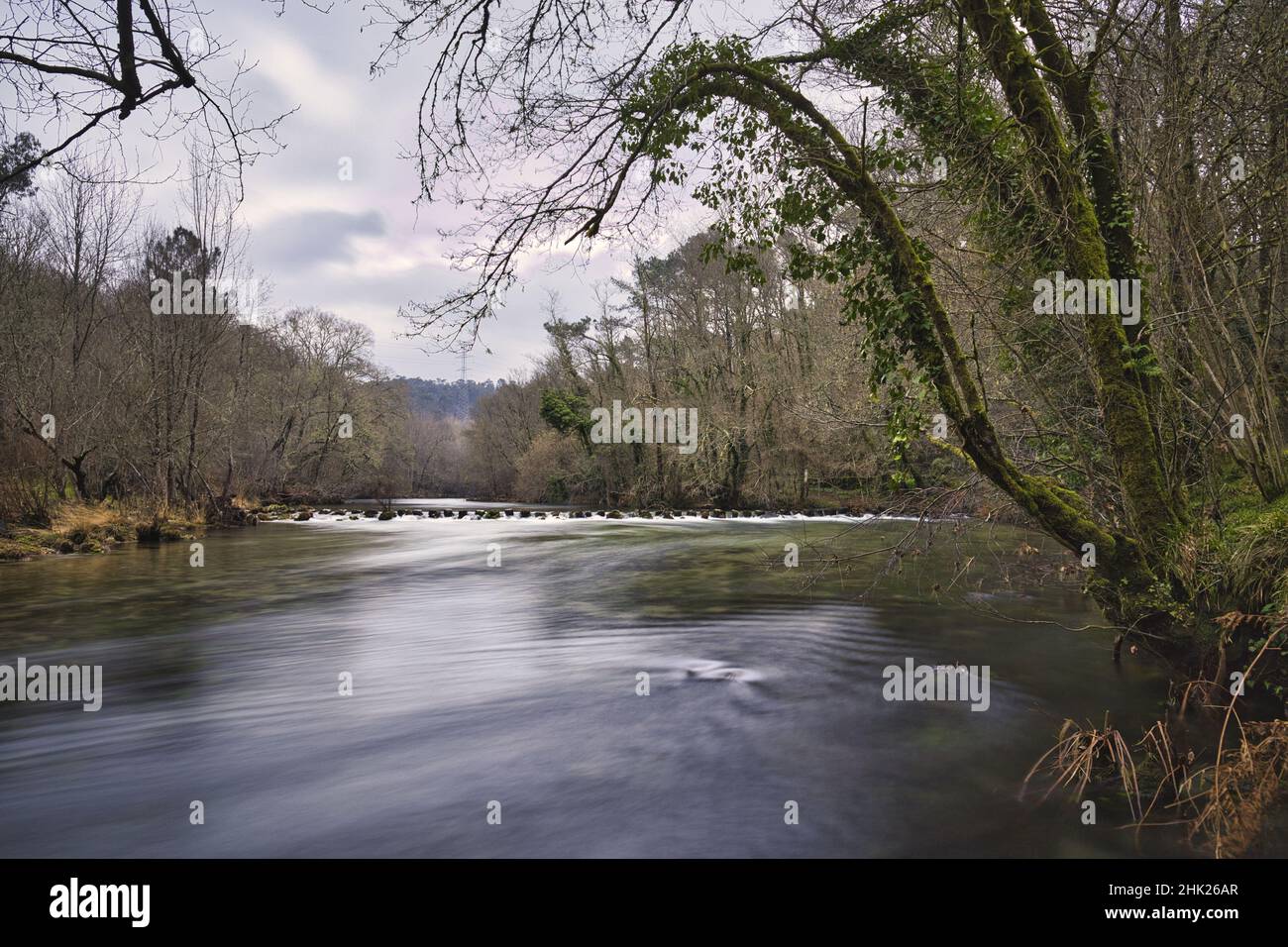 Tranquil scenery of a river flowing in the woods on a gloomy day Stock ...