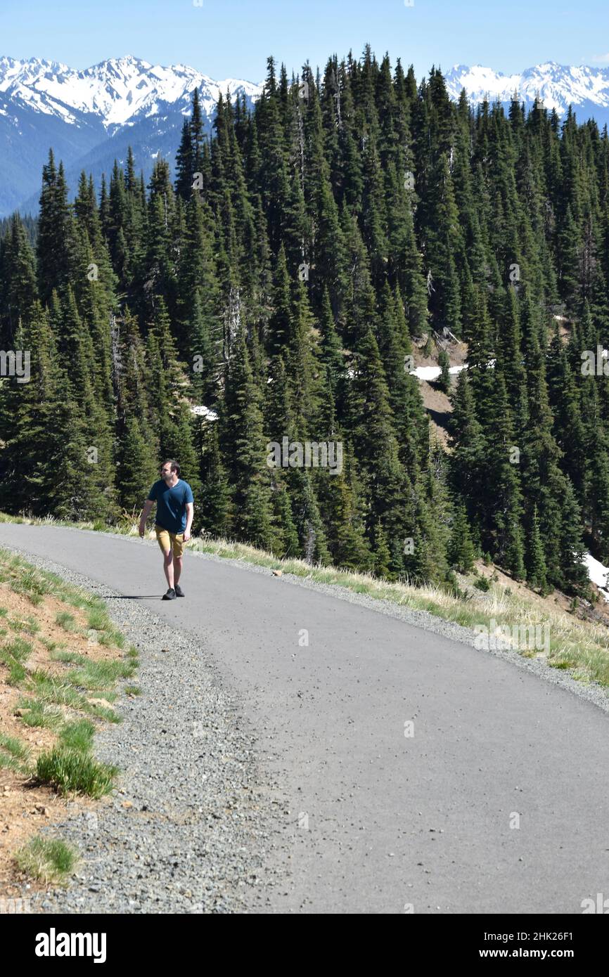 Hurricane Ridge atop Olympic National Park, Washington State, USA Stock ...