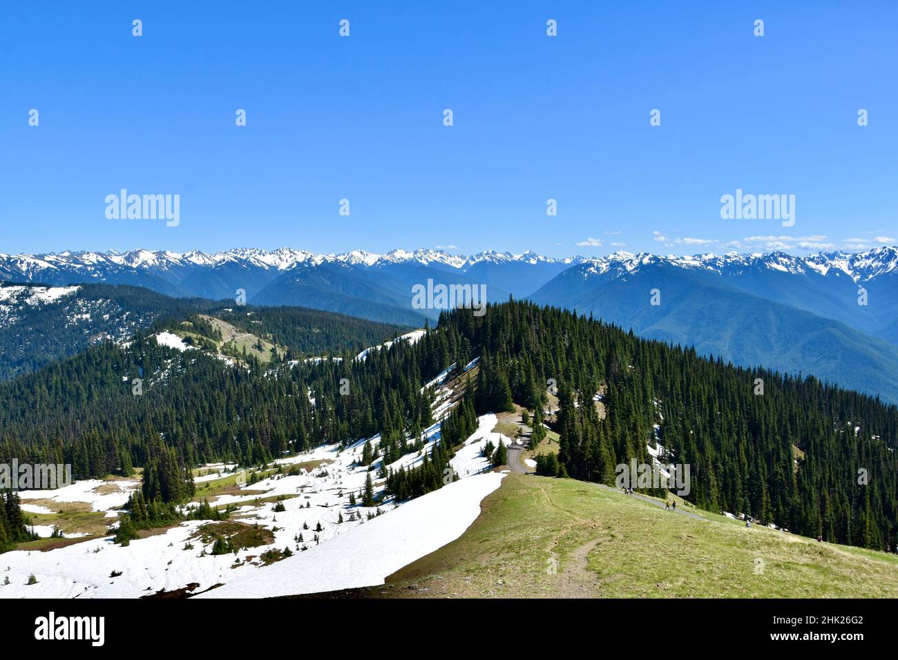 Hurricane Ridge atop Olympic National Park, Washington State, USA Stock ...
