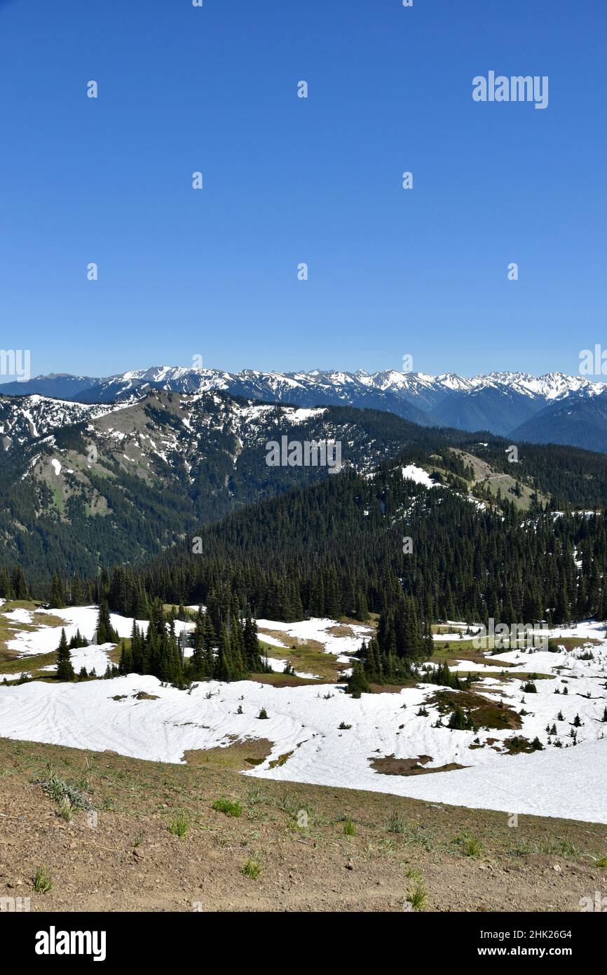 Hurricane Ridge atop Olympic National Park, Washington State, USA Stock ...