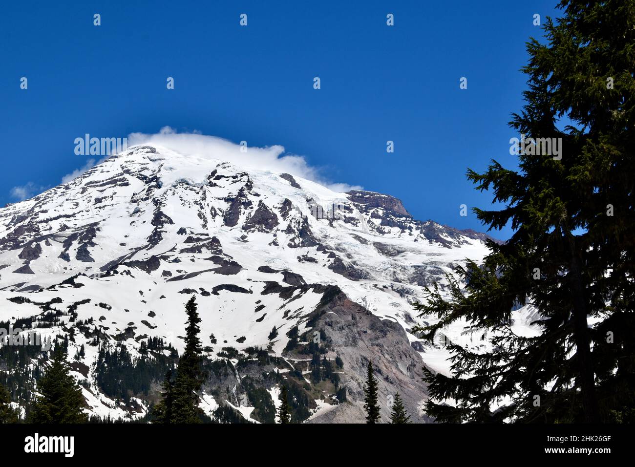Mount Rainier National Park, Washington State, USA Stock Photo - Alamy