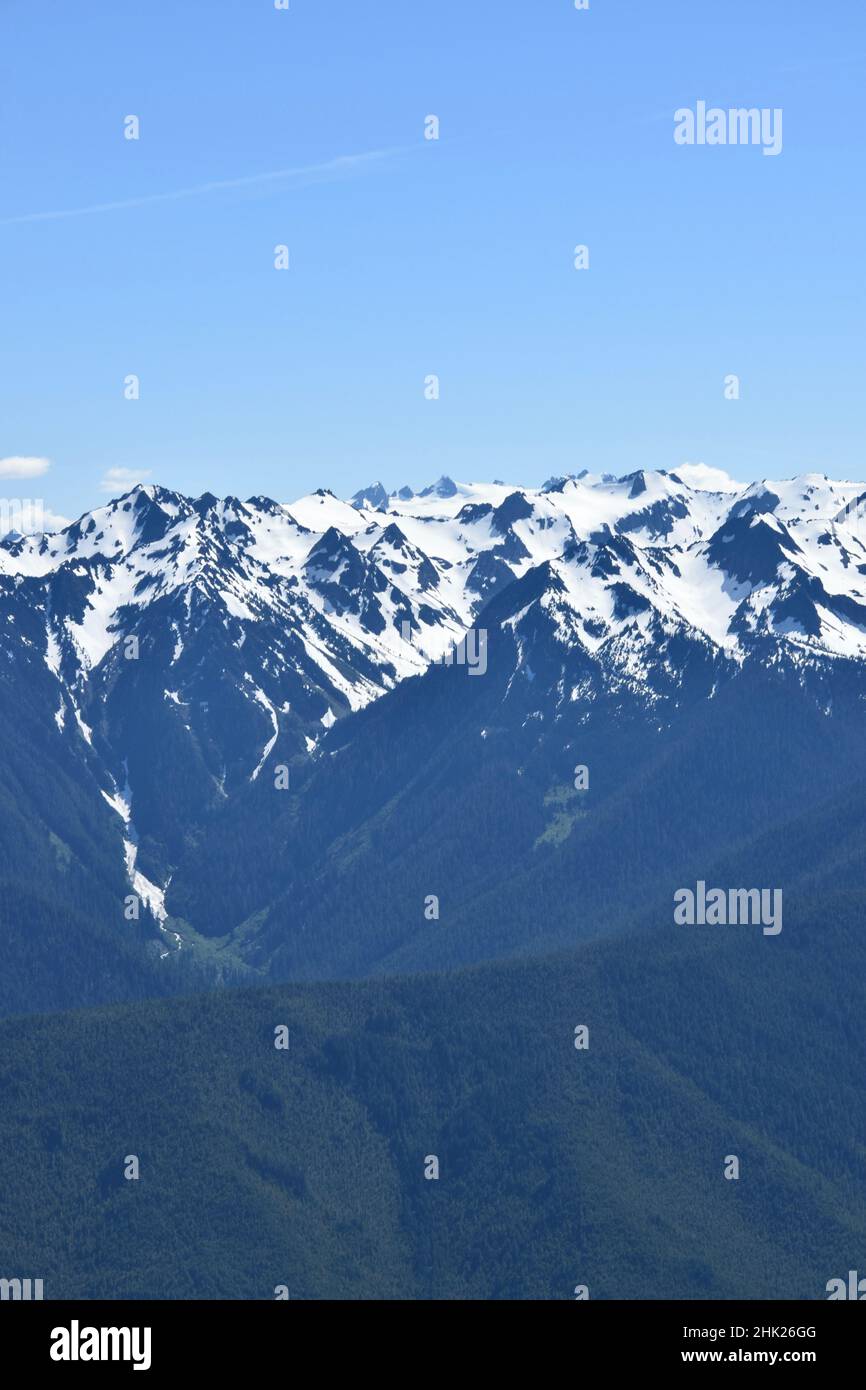Hurricane Ridge atop Olympic National Park, Washington State, USA Stock ...