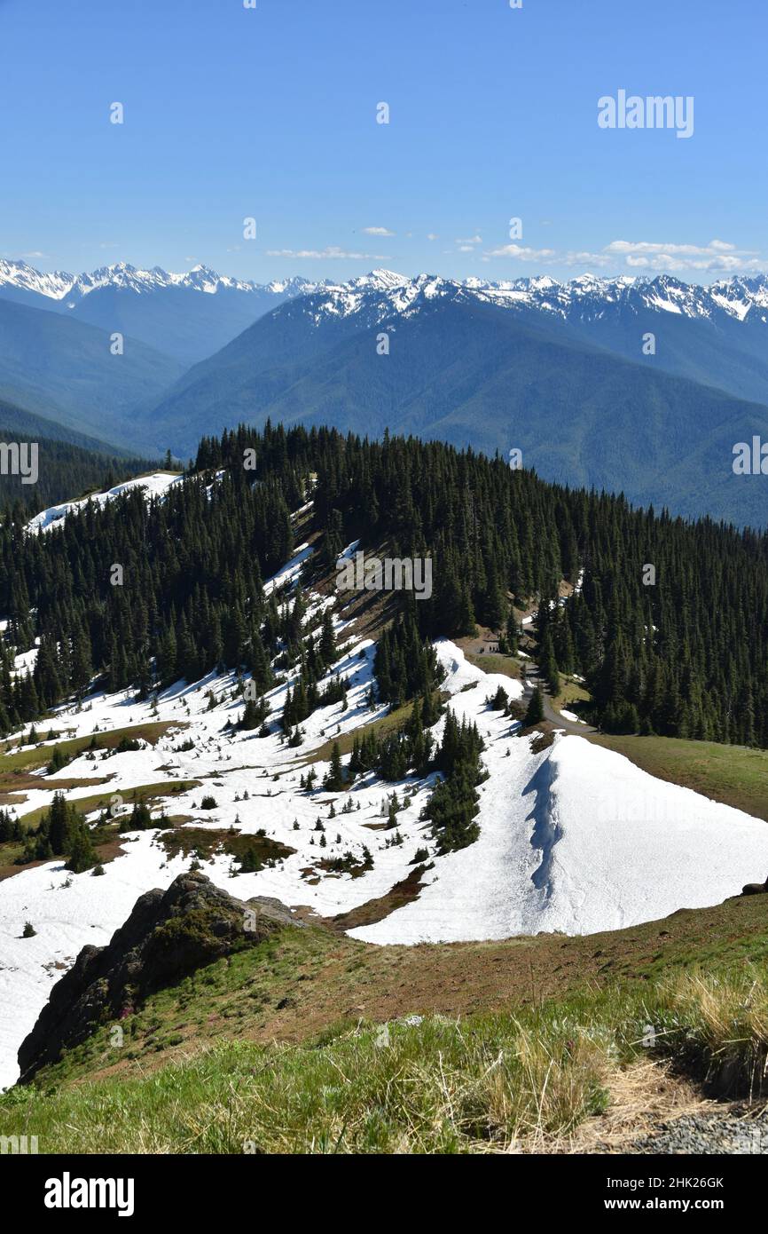 Hurricane Ridge atop Olympic National Park, Washington State, USA Stock ...