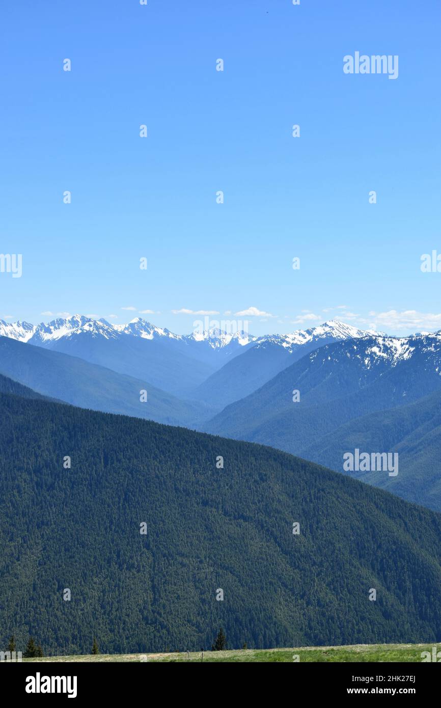 Hurricane Ridge atop Olympic National Park, Washington State, USA Stock ...