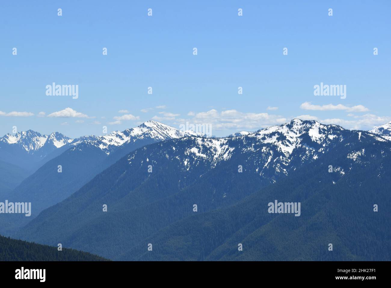 Hurricane Ridge atop Olympic National Park, Washington State, USA Stock ...