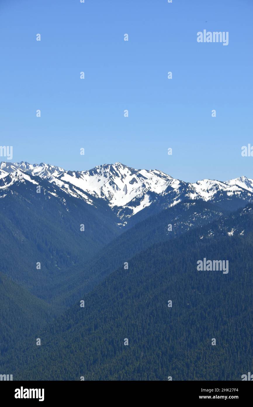 Hurricane Ridge atop Olympic National Park, Washington State, USA Stock ...