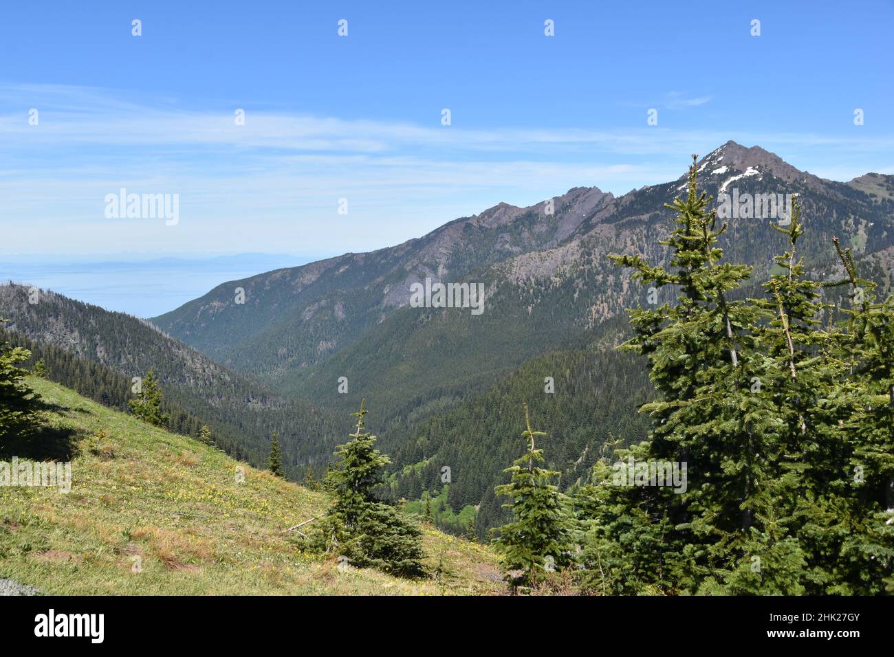 Hurricane Ridge atop Olympic National Park, Washington State, USA Stock ...