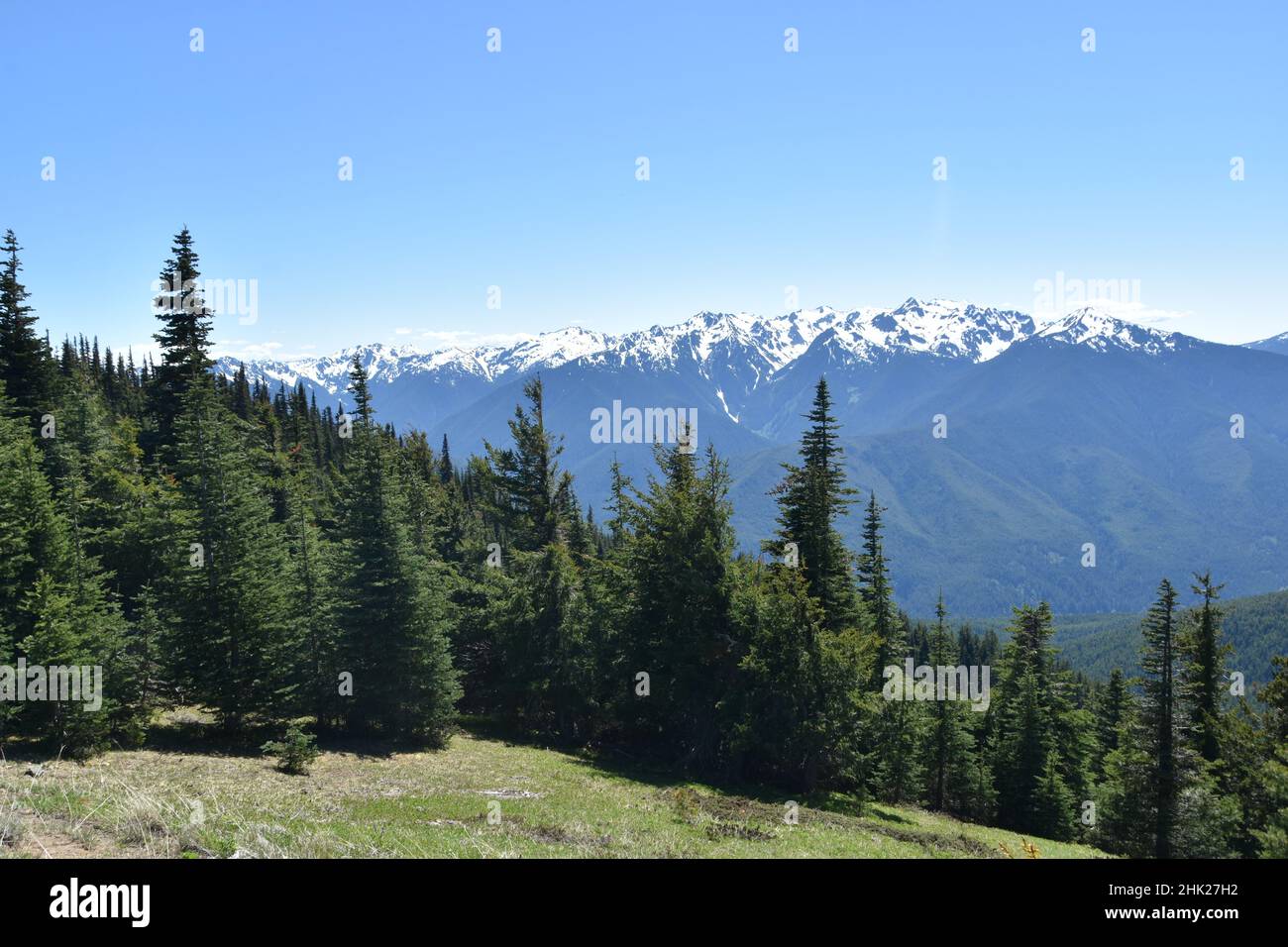 Hurricane Ridge atop Olympic National Park, Washington State, USA Stock ...