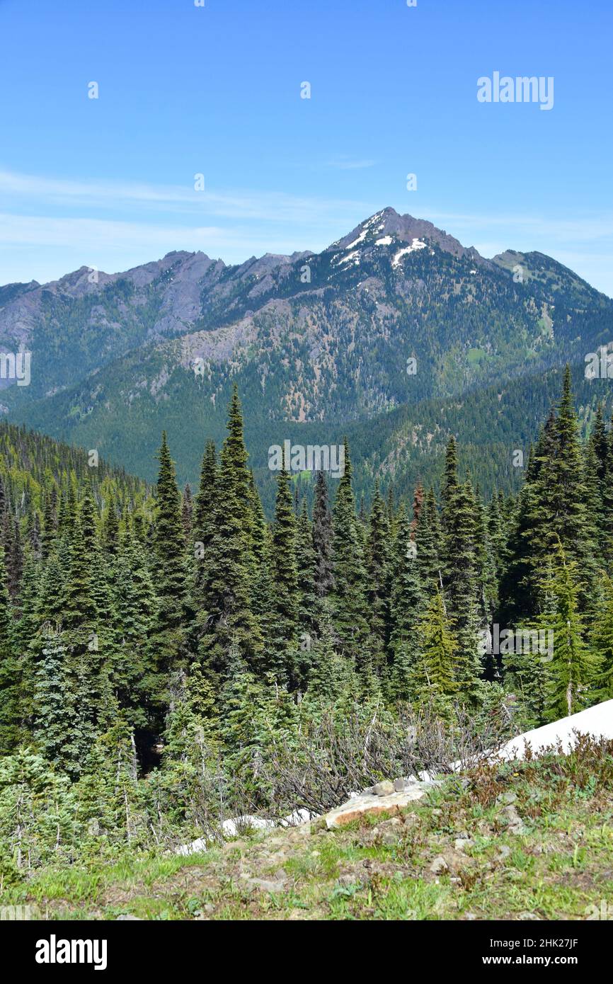 Hurricane Ridge atop Olympic National Park, Washington State, USA Stock ...