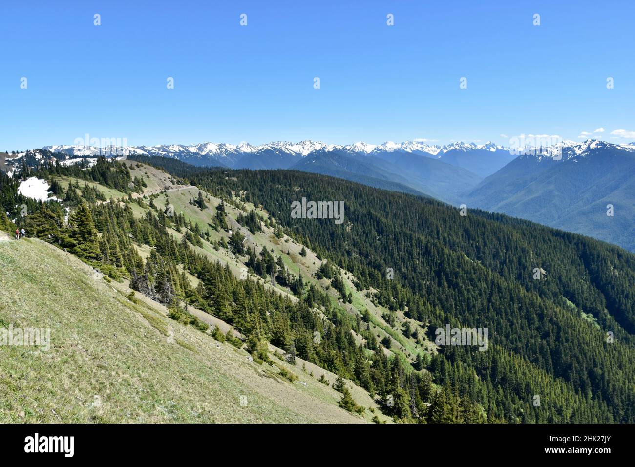Hurricane Ridge atop Olympic National Park, Washington State, USA Stock ...