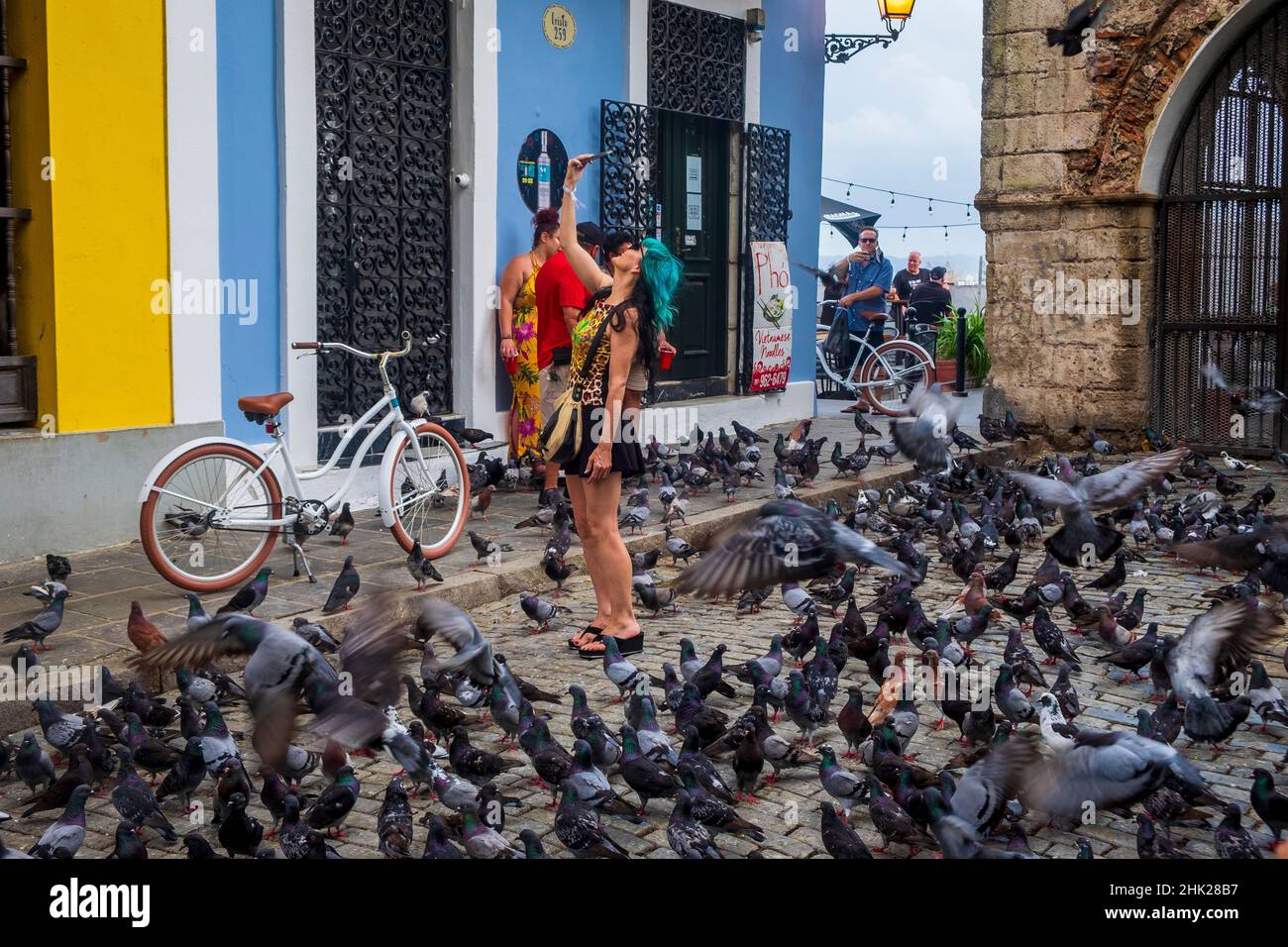 Parque de palomas puerto rico hi-res stock photography and images - Alamy