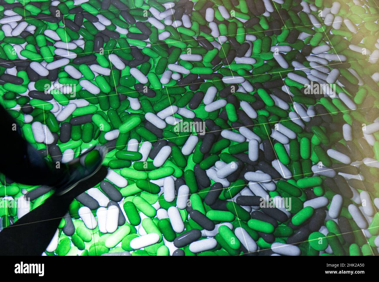 Greifswald, Germany. 27th Jan, 2022. In the entrance area to the ...