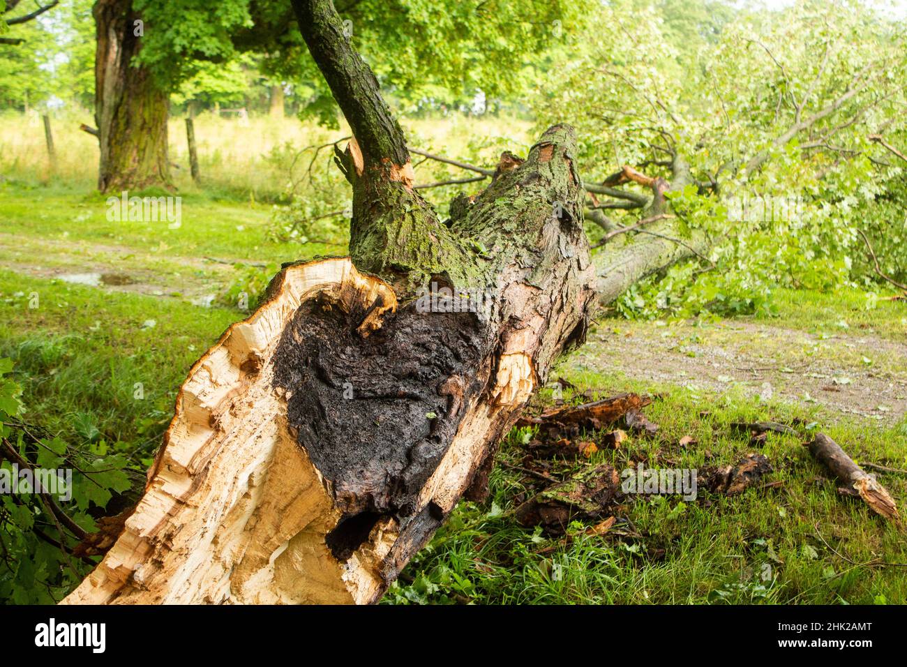 Burn mark due to lightning hi-res stock photography and images - Alamy