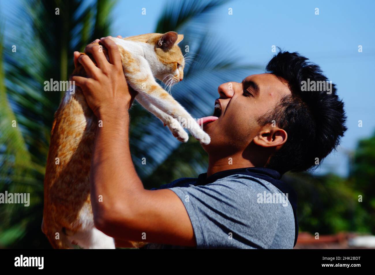 South Asian guy from India holding a cat Stock Photo - Alamy