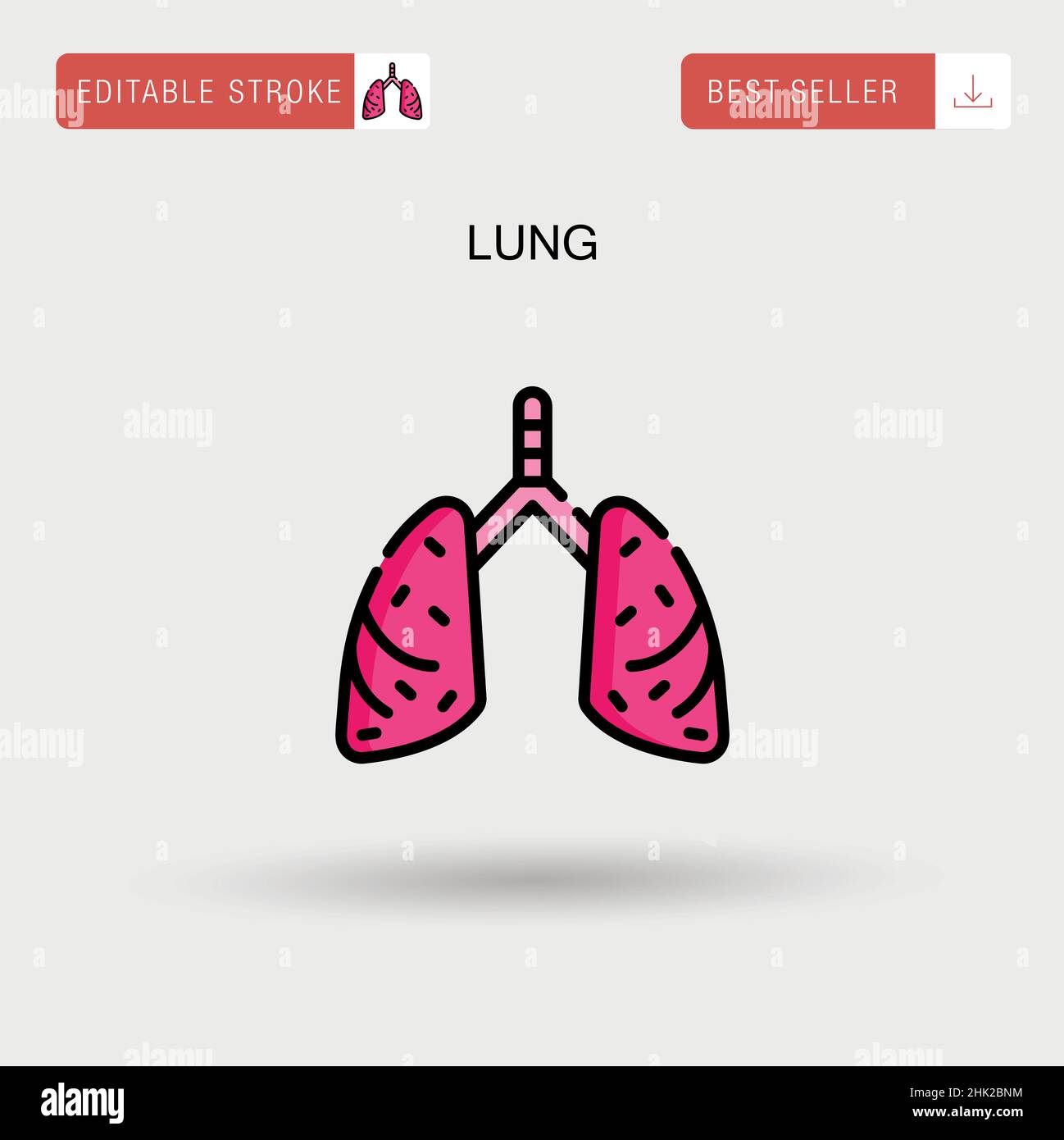 Lung shape Stock Vector Images - Alamy