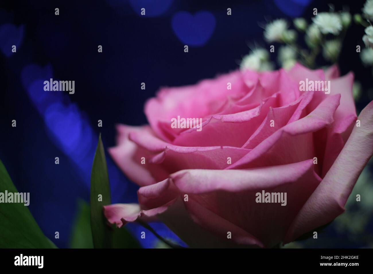 Dof background hi-res stock photography and images - Alamy