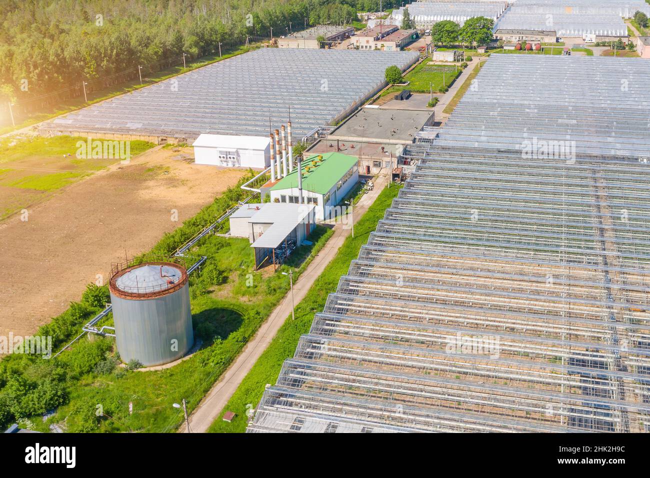 Glasshouse farming salad crops hi-res stock photography and images - Alamy