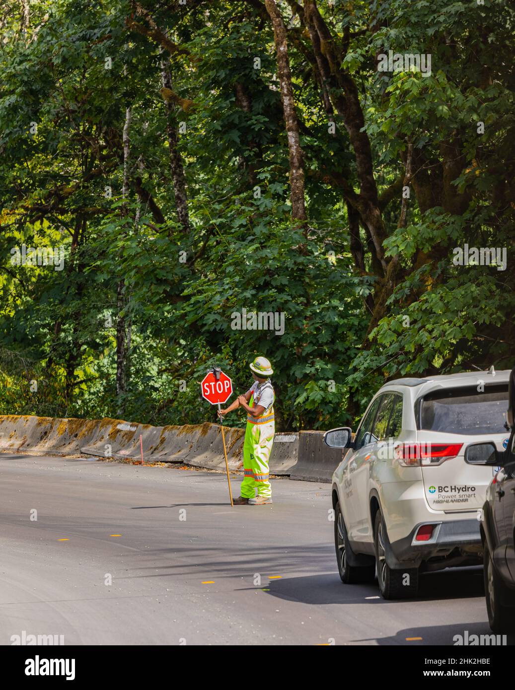 A construction worker stopping traffic, holding a stop sign Stock Photo ...