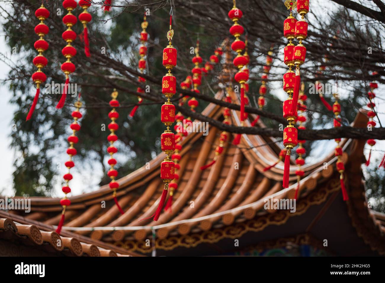 Red decorations hanging from trees in Chinese temple complex Stock ...